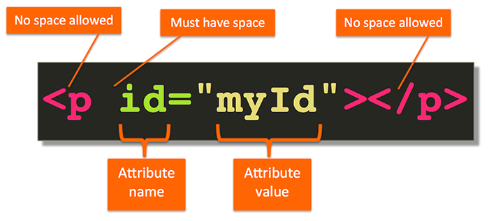 An Introduction To HTML And CSS Anatomy